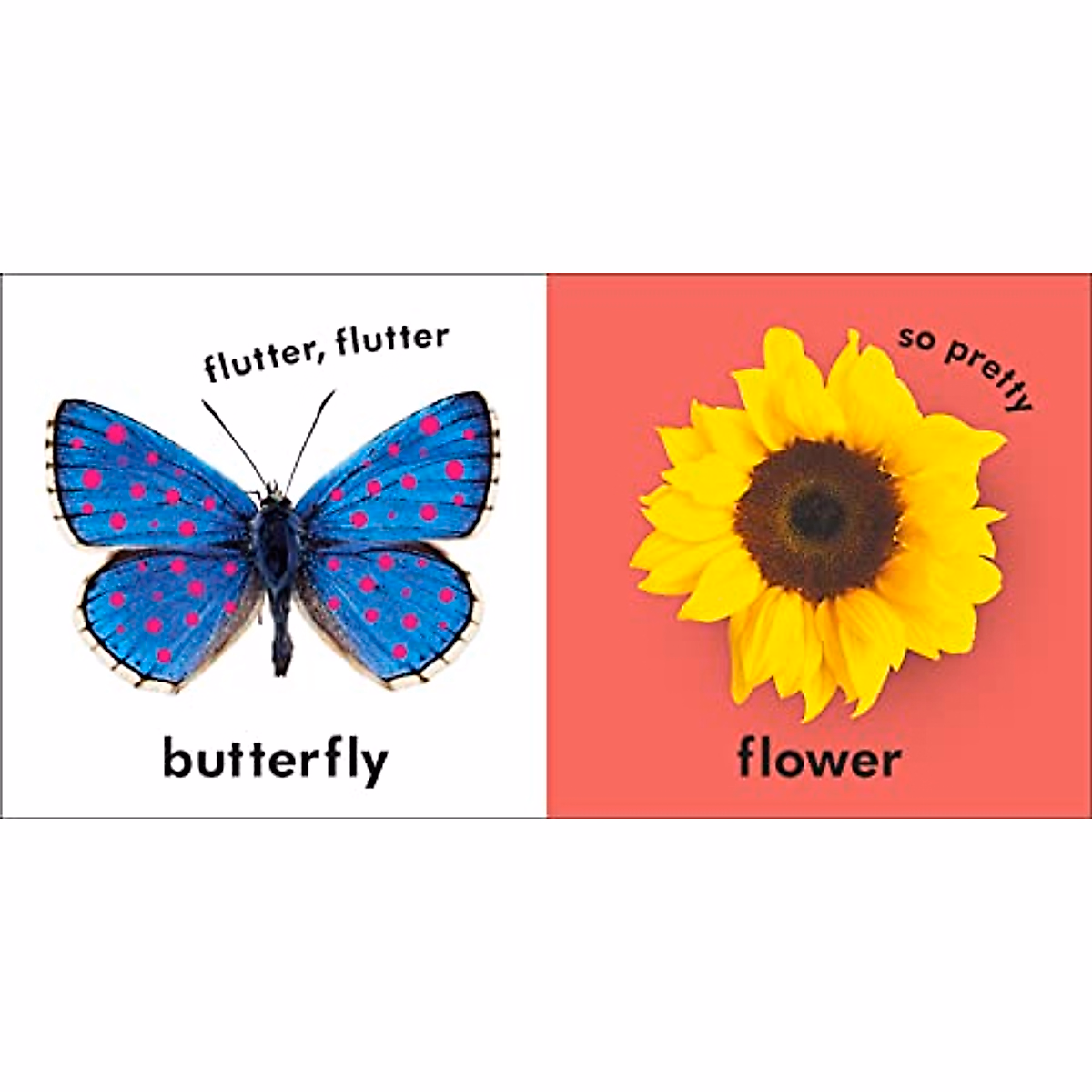 Baby Touch and Feel: First Words