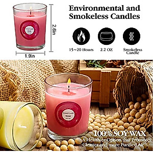 DALANG Scented Candles, Anxiety Reducer Jasmine, Rose, Vanilla, Bergamot, fig, Lavender, Lemon, Spring,Strawberry, Rosemary, Aromatherapy Organic Massage Candles - 20 Pack