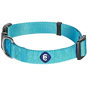 Blueberry Pet Essentials 21 Colors Classic Dog Collar, Turquoise, Small, Neck 12"-16", Nylon Collars for Dogs