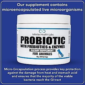 Probiotics for Dogs and Cats - Vet Formulated Made in USA Pet Prebiotic & Enzyme Powder for Digestive, Gut & Immune Health - 200 Servings (50 g)