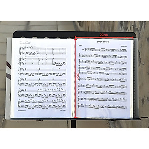 Music Sheet File Piano Score Folder Paper Storage Folder Documents Holder Blank Sheet Files Plastic A4 Size 40 Pockets (Music Bear File Folder-Black)
