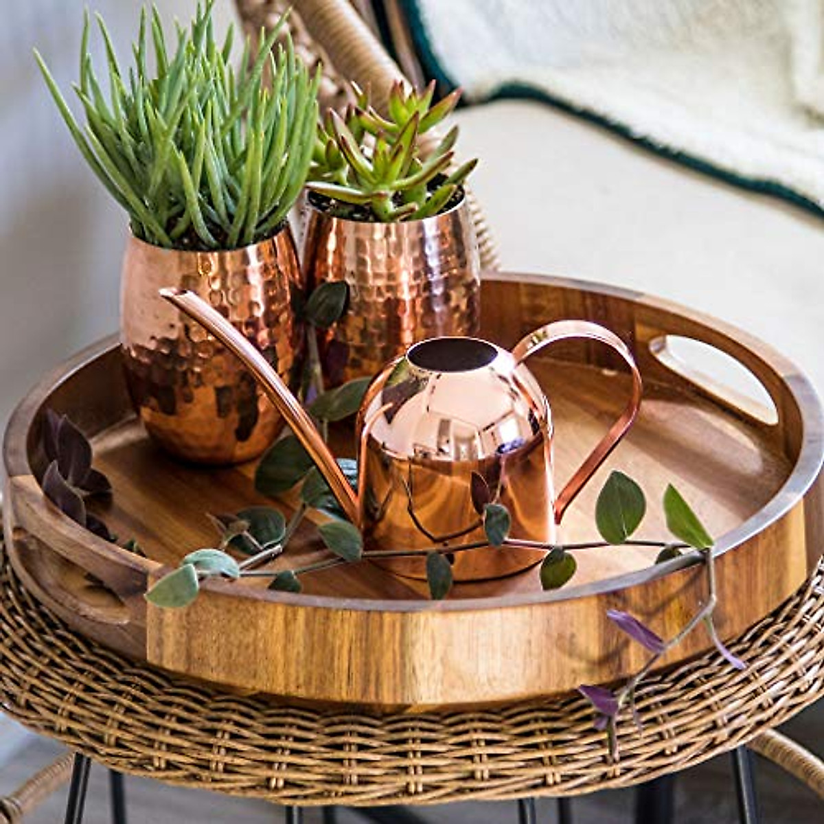 Smouldr Mini Plant Watering Can Indoor: Rose Gold Small Watering Can Helps You Water Tiny House Plants, Succulents, Bonsai or Herb Gardens - Steel Plant Waterer for Miniature Flower Pots - 15 Ounces