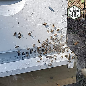 Entrance Reducer and Mouse Guard for 8 or 10 Frame Bee Hive, Used for Beekeeping with No-Rust, Universal Stainless Steel Metal Design for Winter and Year Around, 4-Pack