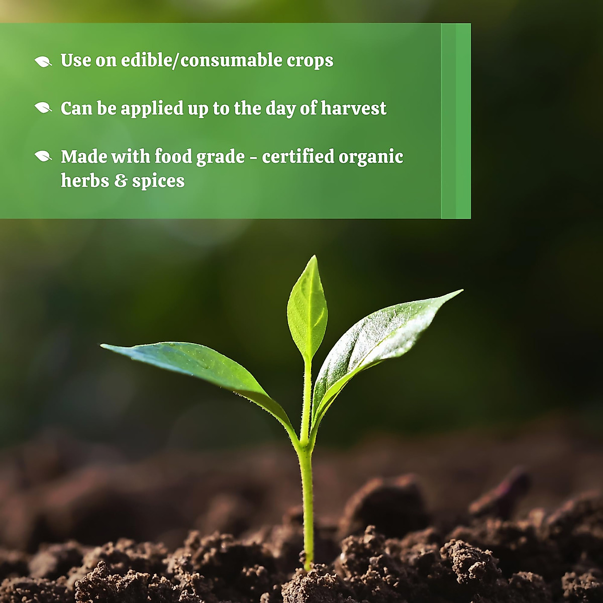 Pride Lands Defense - Organic Pest Control for Indoor & Outdoor Plants/Insect Repellent/Eliminate Mites, Gnats, Thrips, & Aphids/Safe for Pets & Children/Vegetable & Flowering Gardens, 5lb