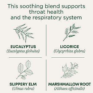 Traditional Medicinals Tea, Organic Throat Coat Eucalyptus, Throat and Respiratory Support, 96 Tea Bags (6 Pack)