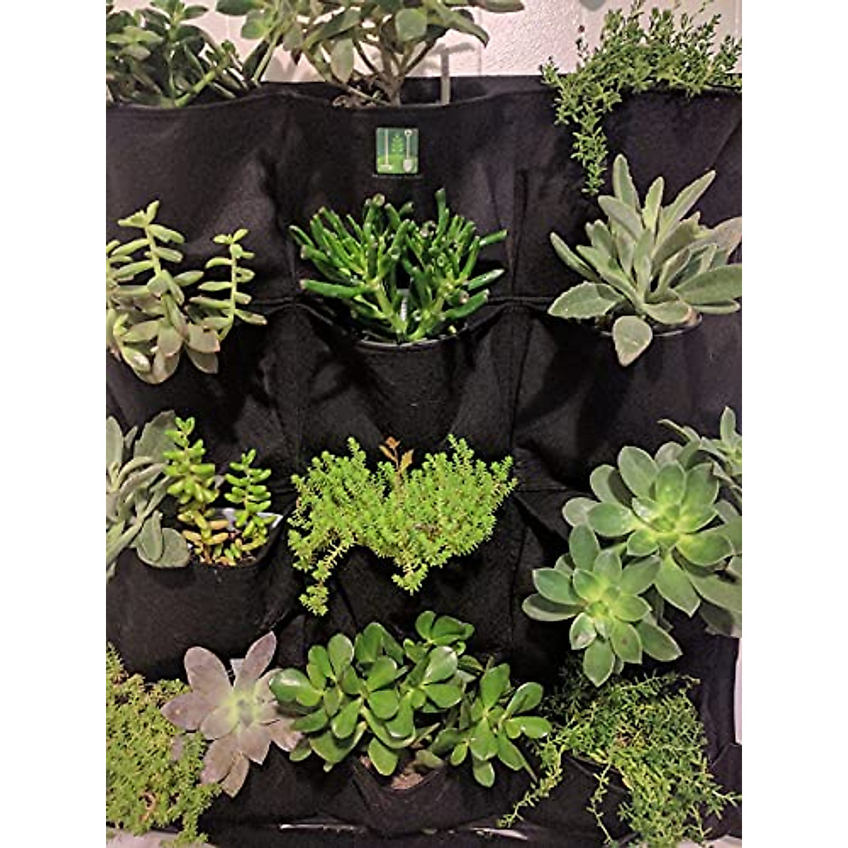 Delectable Garden Cloth 12 Pocket Hanging Vertical Garden Wall Planter for Yard Garden Home Decoration
