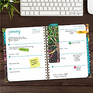 HARDCOVER 2023 Planner: (November 2022 Through December 2023) 8.5"x11" Daily Weekly Monthly Planner Yearly Agenda. Bookmark, Pocket Folder and Sticky Note Set (Black Tree Seasons)