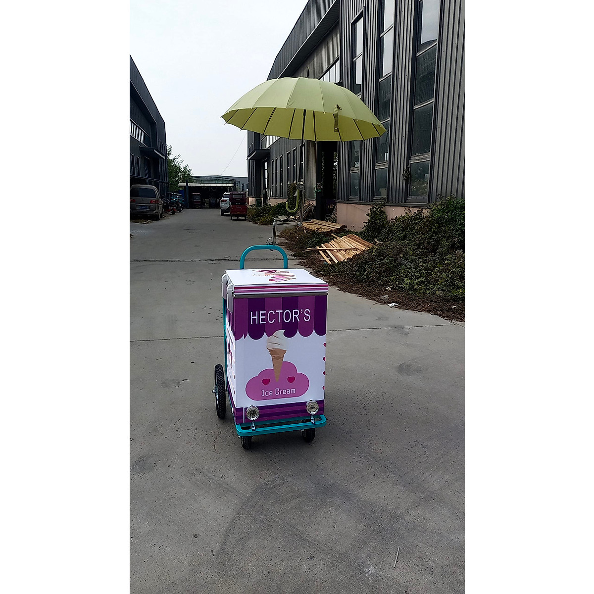 Kolice Commercial ice Cream cart with Freezer Mini Gelato ice Cream cart Refrigerator cart Mobile Food carts