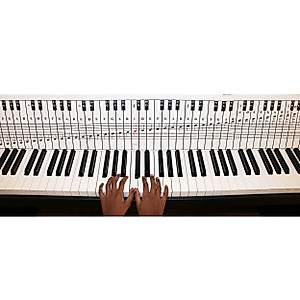 QMG Piano and Keyboard Note Chart for 88 Keys, Use Behind the Keys, Ideal Visual Tool for Beginners Learning Piano or Keyboard, Easy to Set Up