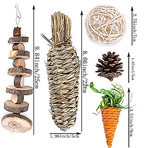 Fansisco Handmade Pet Chew Toys with Hay Grass Carrot Toys Apples Wood Molar String Carrot Toys Chew Toys for Rabbit Bunny Hamsters Chinchilla Guinea Pigs or Other Rodent Pets (30209), 30*20*9