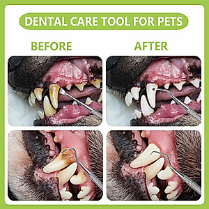 PARYUNGR Dental Tools Pet Dog Teeth Cleaner Tool Kit, Stainless Steel Plaque Remover Dental Picks Tooth Tartar Scraper, Pets Oral Care Hygiene Set for Cats and Dogs Use with Case
