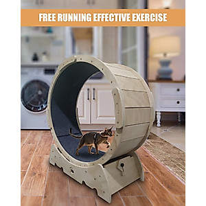 Cat Wheel Cat Exercise Wheel Indoor, Cat Treadmill Wheel, Cat Running Wheel Cat Toy Cats Loss Weight Device Natural Wood Grain