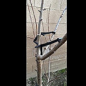 50Pieces Fruit Tree Branch Limb Spreader for Strong Spreading Crotch Angles Branches,Plastic Bonsai Branch Trunk Spreaders Modelling Tool Black