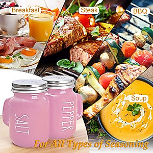 Pink Salt and Pepper Shakers Set - DAYYET 4 oz Pink Kitchen Decor and Accessories for Home Restaurants Weddings - Cute Glass Shaker Sets with Stainless Steel Lids