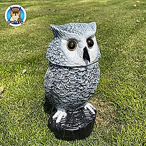 Owlery Solar Owl with Flashing Eyes, Spinning Head and Realistic Tweets, Plastic Owl Decoration for Home, Garden, Patio and Fence
