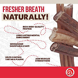 Best Dog Chews Thin Bully Sticks for Dogs 100% Natural Delicious and Protein Rich Keep Your Dog Busy with Chews & Treats Fully Digestible-Great for Dental Health-for All Breed Sizes-12 inch(12 Count)