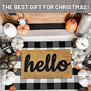 IOHOUZE Buffalo Plaid Checkered Rug - 27.5" X 43" Door Mat for Front Porch Decor/Home Decor, Black and White Washable Entryway Rug Welcome Outdoor Mat/Spring/Summer Doormat/Christmas Decoration