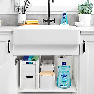 Dial Complete Antibacterial Liquid Hand Soap Refill, Spring Water, 32 fl oz