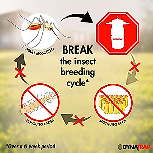 DynaTrap DT1050-TUNSR Mosquito & flying Insect Trap – Kills Mosquitoes, Flies, Wasps, Gnats, & Other Flying Insects – Protects up to 1/2 Acre