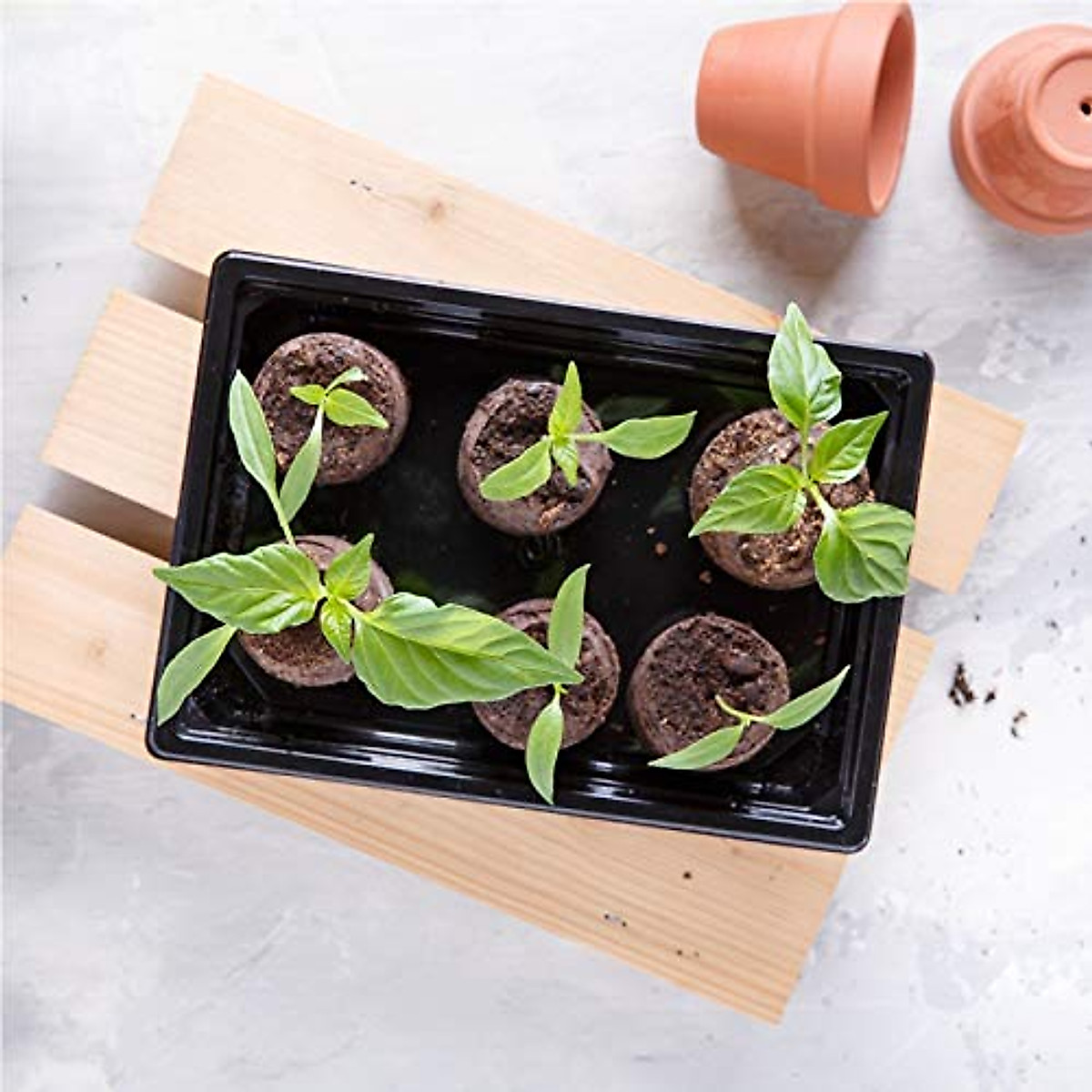 200 Pcs Peat Pellets - 30mm Seeds Plant Starting Plugs, Compressed Nutrient Fertilizer Fiber Soil Block, Plant Pods Bulk for Seedling Transplanting Herb Flower Vegetables