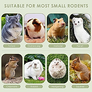 ERKOON 25 Pcs Timothy Hay Sticks,Rabbit Chew Toys for Teeth Natural Timothy Grass Molar Sticks Rabbits Treats for Bunnies, Chinchilla Guinea Pigs, Gerbil, Hamster (Timothy+Oatmeal+Beet)