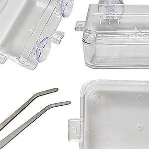 Moduoduo Chameleon Bowl and a Reptile Feeding Tongs 2pcs Feeder and Water Cups with Suction for Iguana Lizard Gecko Worm