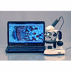 AmScope M158C-2L-PS25 Cordless Compound Monocular Microscope, WF10x and WF25x Eyepieces, 40x-1000x Magnification, Upper and Lower LED Illumination with Rheostat, Brightfield, Single-Lens Condenser, Coaxial Coarse and Fine Focus, Plain Stage, 110V or Batte