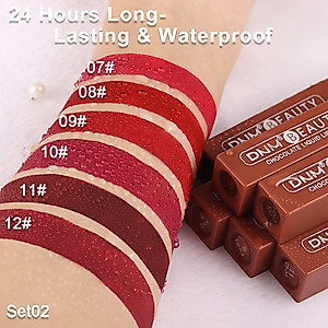 evpct 6Pcs Long Lasting Dark Red Black Matte Liquid Lipsticks Set 24 labiales matte mate larga duracion 24 horas originales DNM Matte Lipstick Long Lasting 24 Waterproof Lip Stain for Black Women 02
