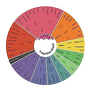 Reyane Tradition Acqua Di Parisis Venizia Reyane Tradition Eau De Parfum Spray for Women, 3.3Ounce