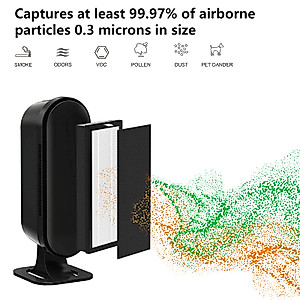 Replacement hepa filter for veva 8000 Elite pro series air Cleaner purifier, 2 True HEPA Filters & 8 Premium Carbon Pre Filters