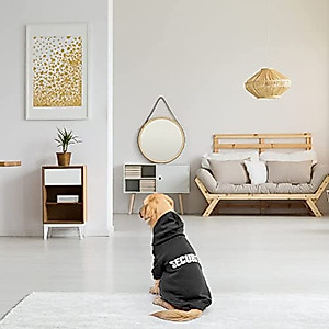 BINGPET Security Dog Hoodies Puppy Sweater Cold Weather Dog Coats Soft Brushed Fleece Pet Clothes Hooded Sweatshirt for Dog Cat