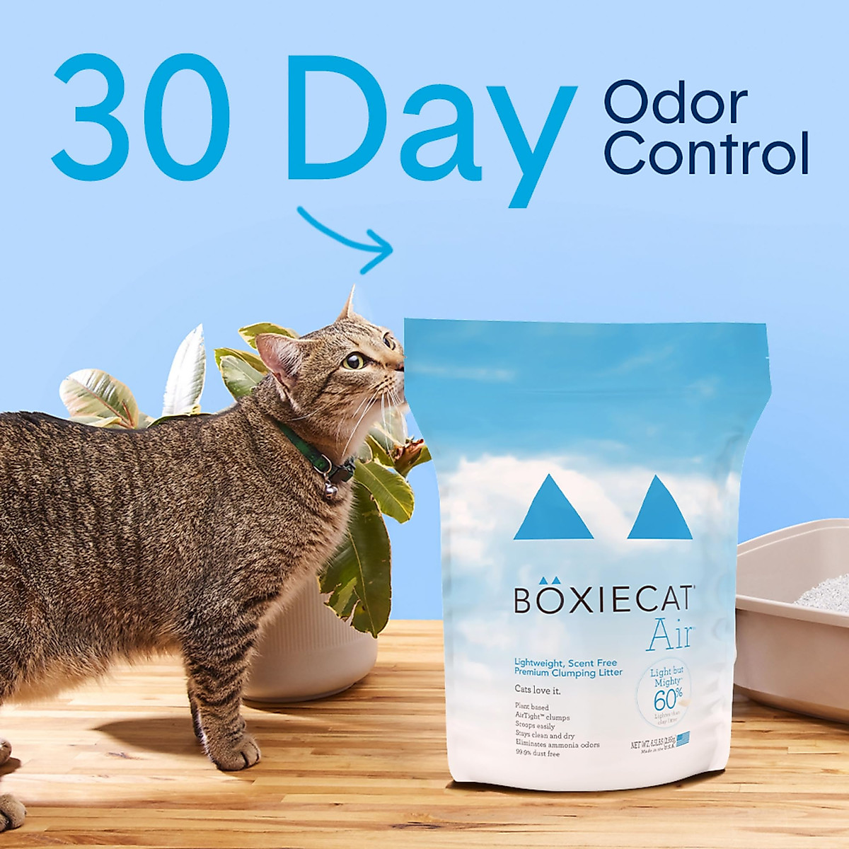 Boxie® Unscented 30 Day Natural Odor Control Cat Litter, 11.5lb Lightweight Plant Based Kitty Litter