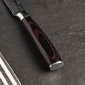 SENKEN 14-piece Japanese Kitchen Knife Set - Imperial Collection