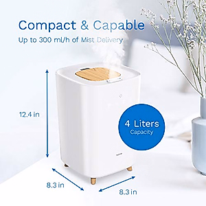 hOmeLabs Cool Mist Ultrasonic Mini Humidifier for Tabletop - 4 Liter Capacity with 40 Hour Run Time - Great for Bedroom, Baby Nursery, Plants and More