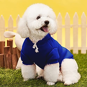 Custom Dog Hoodie Set with Name Photo, Personalized Pet Warm Sweater Hoodies for Small Medium Dogs & Cat Puppy