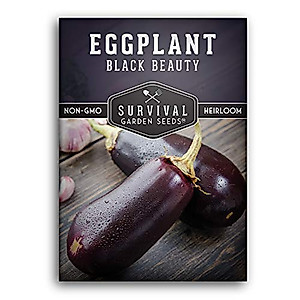 Survival Garden Seeds - Black Beauty Eggplant Seed for Planting - Packet with Instructions to Plant and Grow Purple Aubergine Plants in Your Home Vegetable Garden - Non-GMO Heirloom Variety