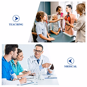 ASINTOD Human Color Skull Model with Brain, Life Size Anatomical Model, Color Coded Partitioned Skull, 8 Part Brain Human Skull Anatomical Model