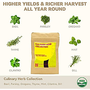 Herb Seed Starter Pod Kit Plant for AeroGarden,MUFGA, inbloom 5 Pods Hydroponics Growing System, Indoor Garden, 7-Pods (300+ Seeds Included Basil, Parsley, Oregano, Thyme, Mint, Cilantro, and Dill)