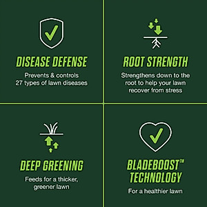 Scotts Turf Builder Healthy Plus Lawn Food, 2-in-1 Fungicide and Fertilizer, Helps Grass Withstand Summer Stress, 4,000 sq. ft., 13.70 lbs.