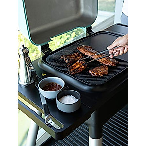 Everdure FORCE 2 Burner Gas Grill, Liquid Propane Portable BBQ Grill with Die-Cast Aluminum Body and Fast-Ignition Technology, 388 Square Inches of Grilling Surface, Adjustable Height, Graphite