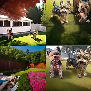 WANLIAN Dog Sculptures Simulation Dog Ornaments Dog Statue Living Room Home Furnishings Outdoor Garden Decorations Yard Decorations - Resin Dog Sculpture (Yorkshire Terrier Statue)