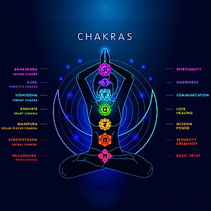 PYOR Chakra Tree of Life, Crystals, Gifts for Women, Crystal Tree, Money Tree, Crystals and Healing Stones, Home Decor, Crystal Tree for Positive Energy