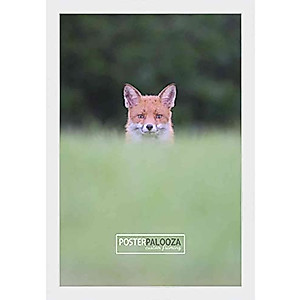 6x10 Frame White Solid Pine Wood Picture Frame | UV Acrylic, Foam Board Backing & Hanging Hardware