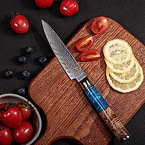 Cloverpeia Utility Knife 5 inch, Paring Knife Japanese Damascus Steel Kitchen Knife VG10 Full Tang Resin&Wood Handle with Gift Box, Fruits and Vegetables Chopping Carving Knives