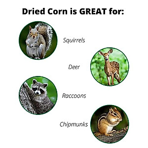 JCs Wildlife Dried Squirrel Corn Bag - Each Bag Weighs About 14 lbs - Great for Squirrels, Chipmunks, Deer and Other Backyard Critters - Grown in Indiana (1)