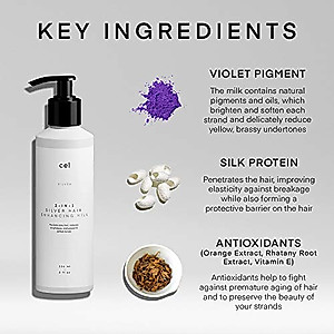 Cel Enhanced Silver Milk Purple Shampoo & Conditioner 2-in-1 For Blonde Bleached Grey & Color Treated Hair – Neutralizes Brassy Tones – Moisturizes & Improves Hair Condition (2-month supply)
