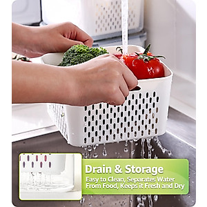 Large Produce Saver with Removable Colander and Handle, Vegetable Storage Keeper Airtight Leakproof Keep Fresh Longer Lettuce Containers BPA-FREE Big Size Veggies Banana Fruit Preserver 14 Cup/3.3L