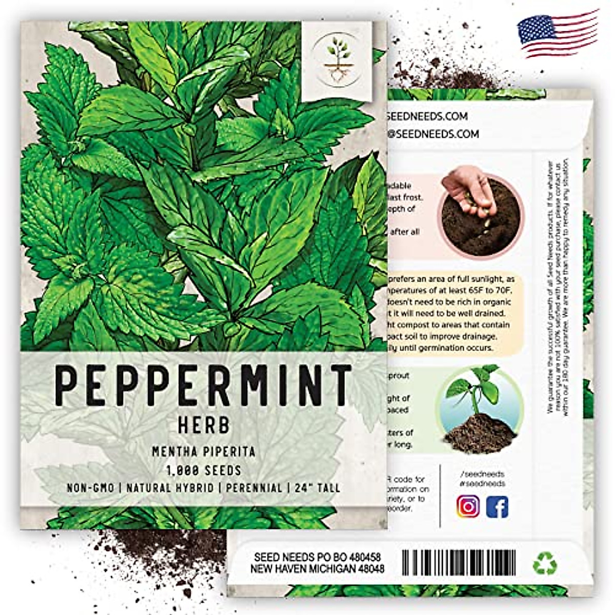 Seed Needs, Peppermint Seeds - 1,000 Heirloom Seeds for Planting Mentha piperita - Non-GMO, & Untreated - Great for Pots & Containers (2 Packs)