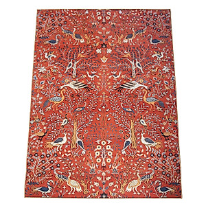 Kalili Rugs Modern Burnt-Orange Bird Design Machine Washable Area Rug Red Runner with Built-in Padding Non-Slip Backing (Multiple Sizes) (8X10)