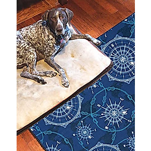 Linon Home Decor Products The Anywhere Washable Rug Velmer Blue & Ivory 3' X 5' Accent Rug
